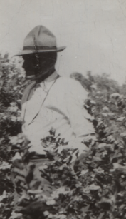 H.M. Wilson Archives photos - ArchivesWiki