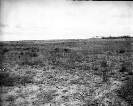 Collection of photos of Quairading - ArchivesWiki